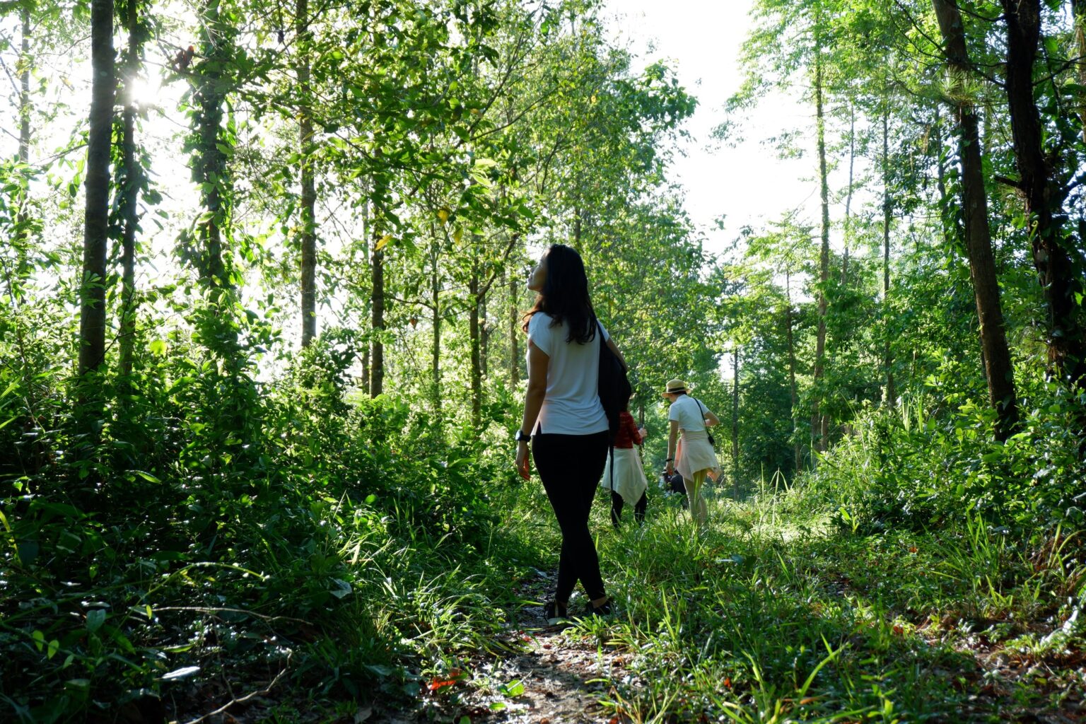 Thriving Family: Safe Haven for Adolescents - Being | Grand Challenges ...